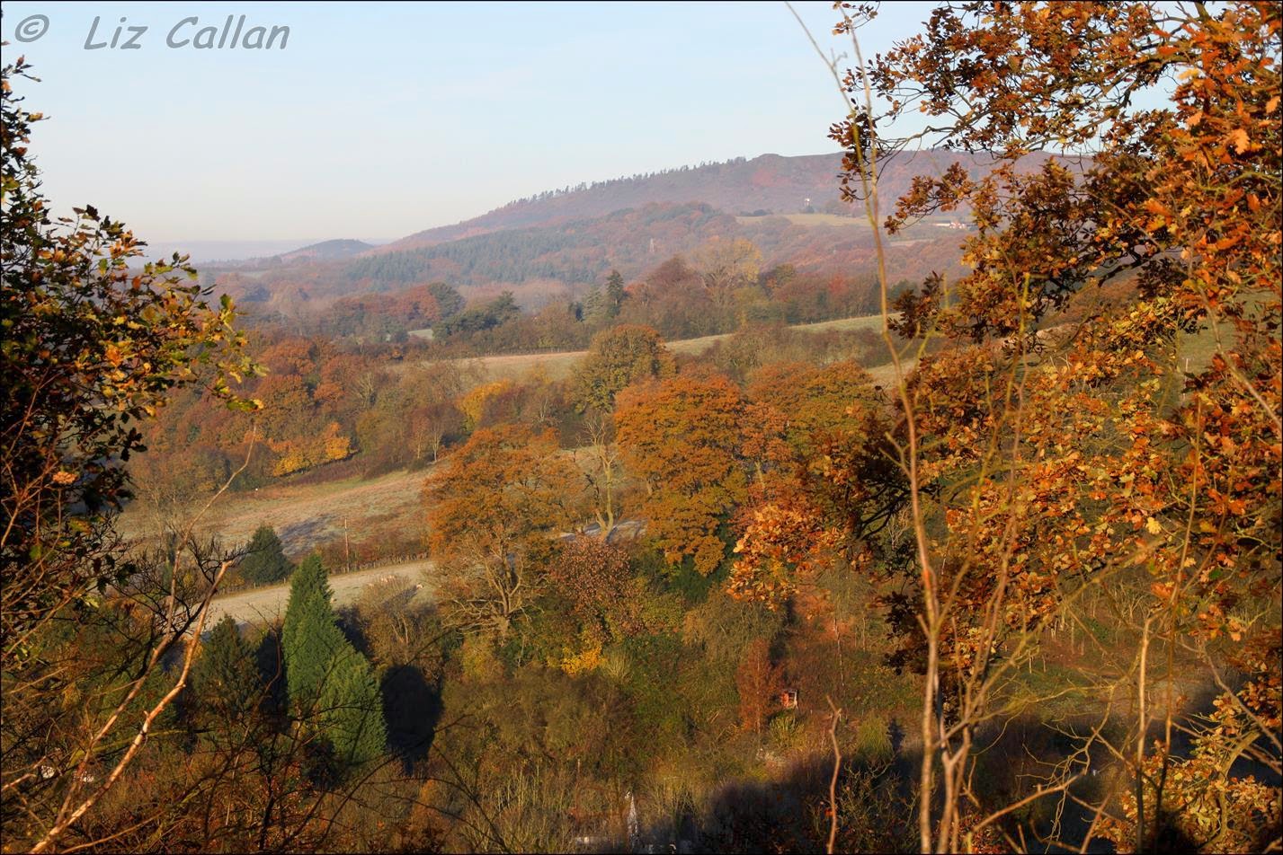 Your Photo Dreams 2013: Ironbridge Rotunda Autumn walk with Ben ...