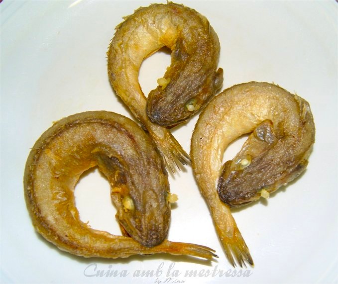 Cocina con Mina: Pijotas o lluçet del bou fritos