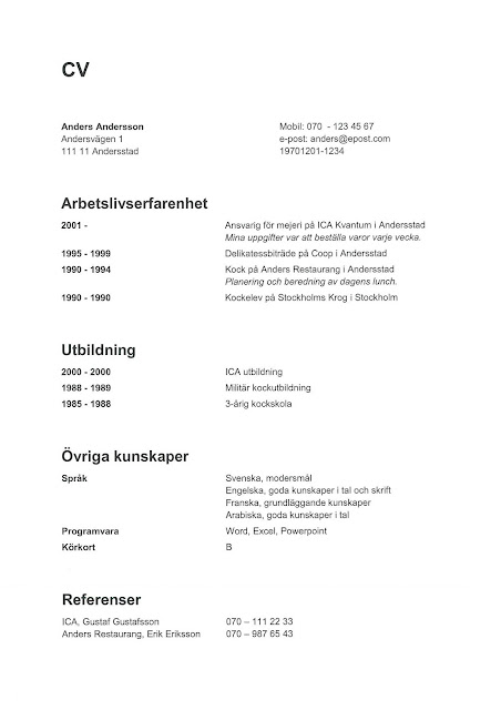 Eksempel På Cv