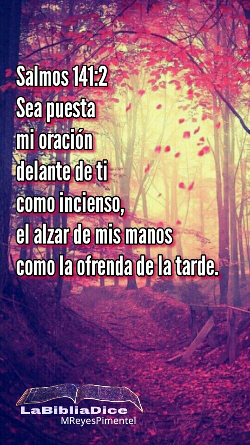 Salmos 141:2