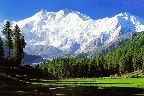 Gorgeous Pakistan: GILGIT VALLEY