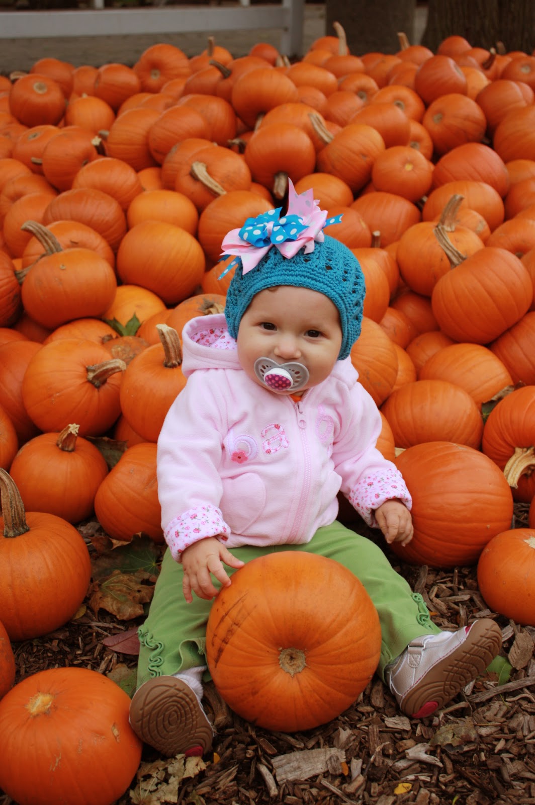 The Torres Family: Cutest Pumpkins in the Patch!