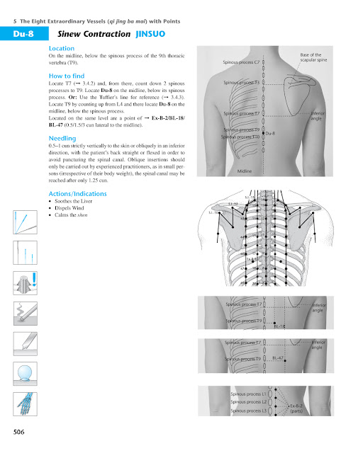 Acupuncture Masters: Acupuncture Points Database - Du Channel