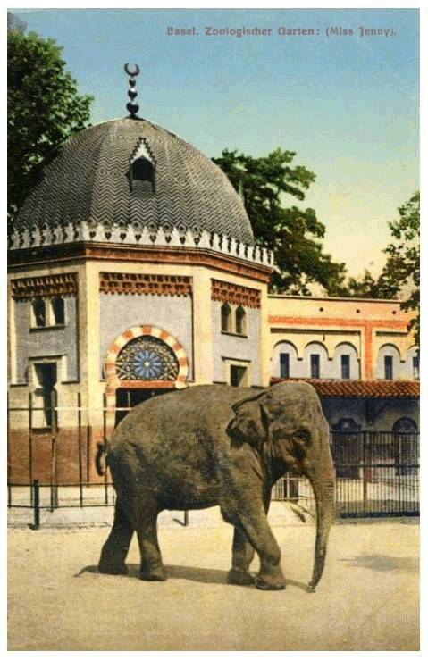 Christoph Roos: Zoo Basel Poster