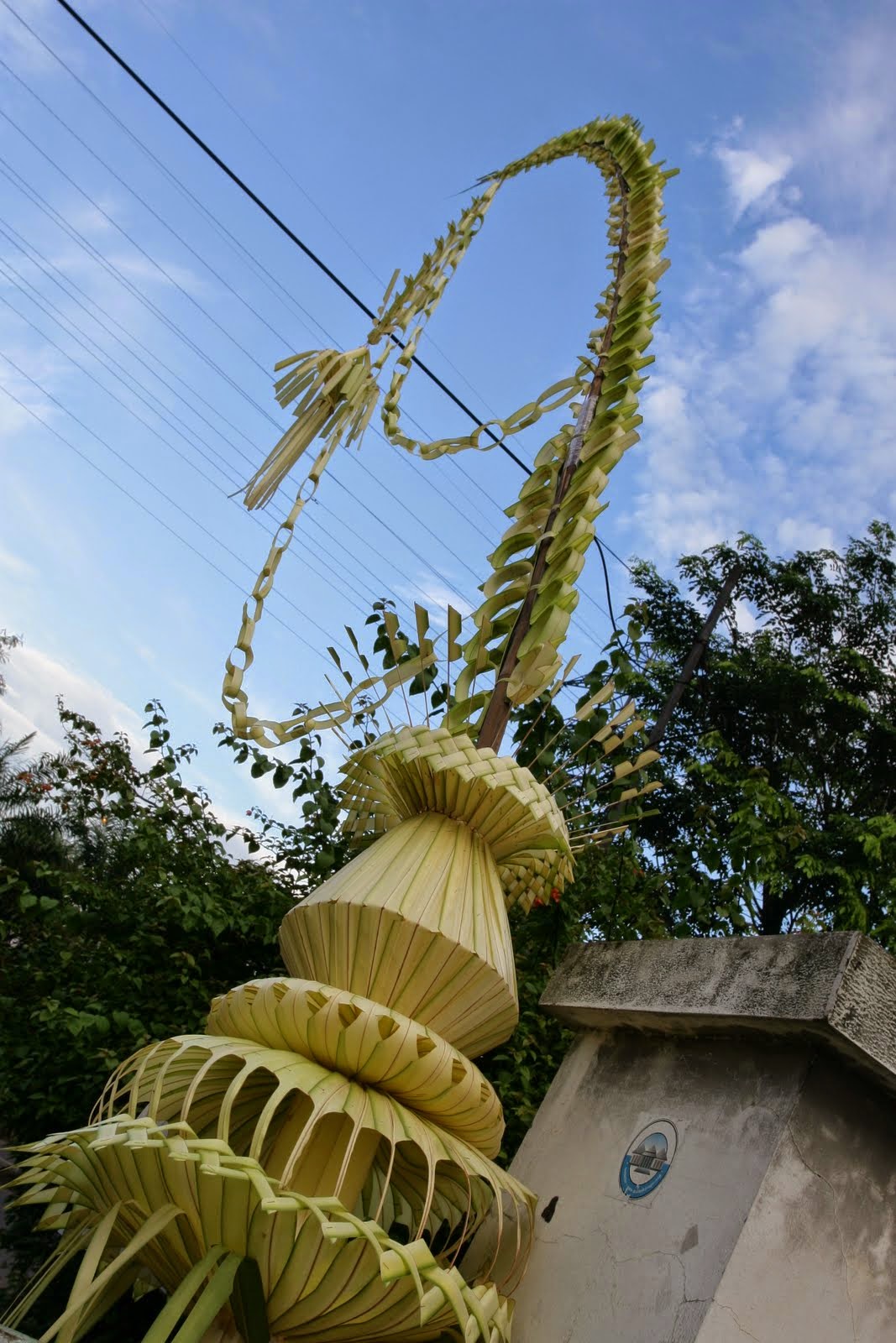 Jual janur Kuning Wilayah Bekasi: 2020