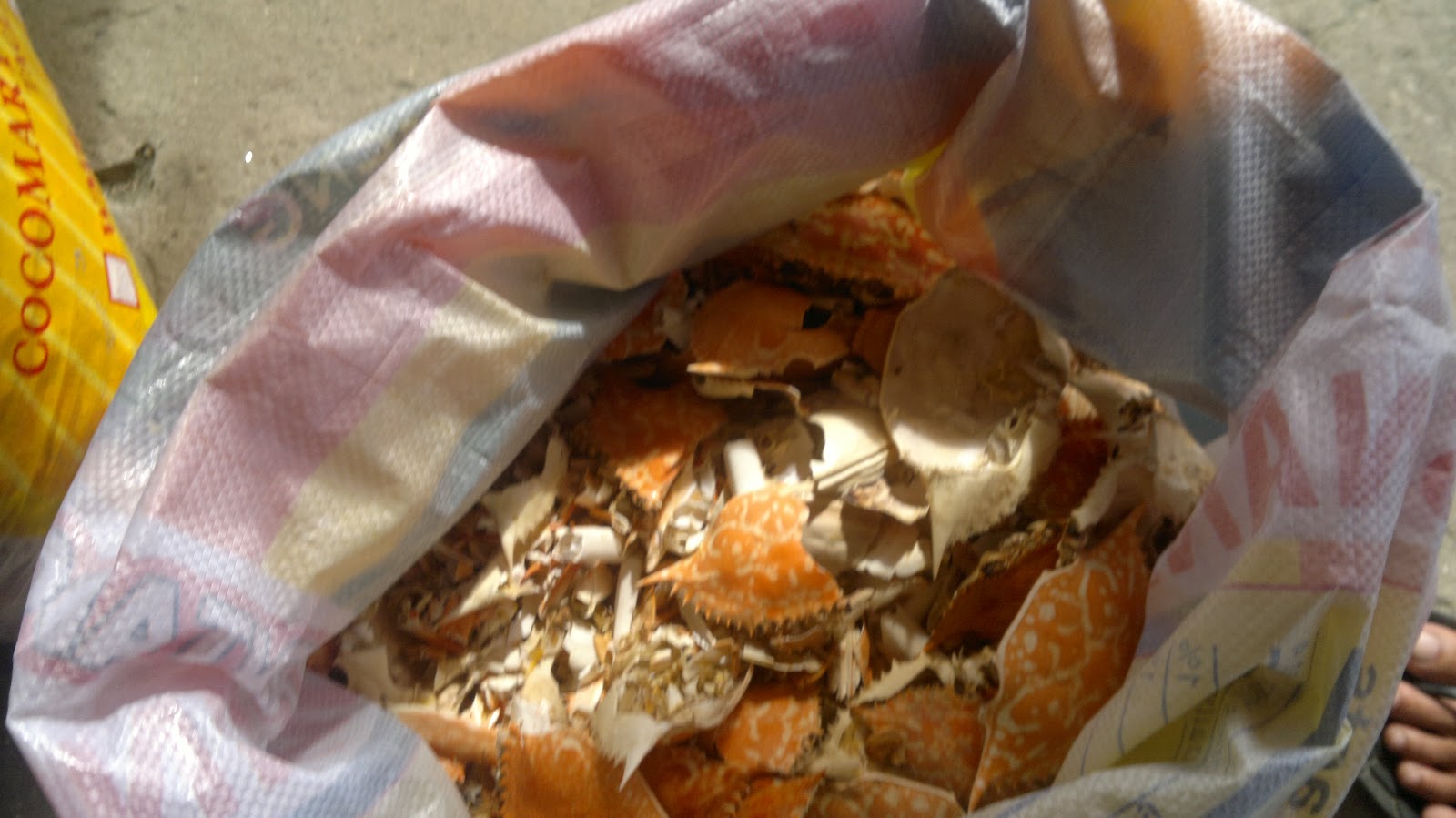 Dhaka ChemieTechs: Dried Crab Shell