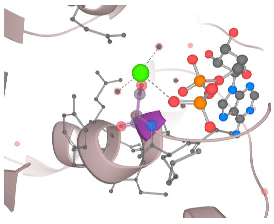 Inside UniProt: Using UniProtKB to explore the world of protein structure