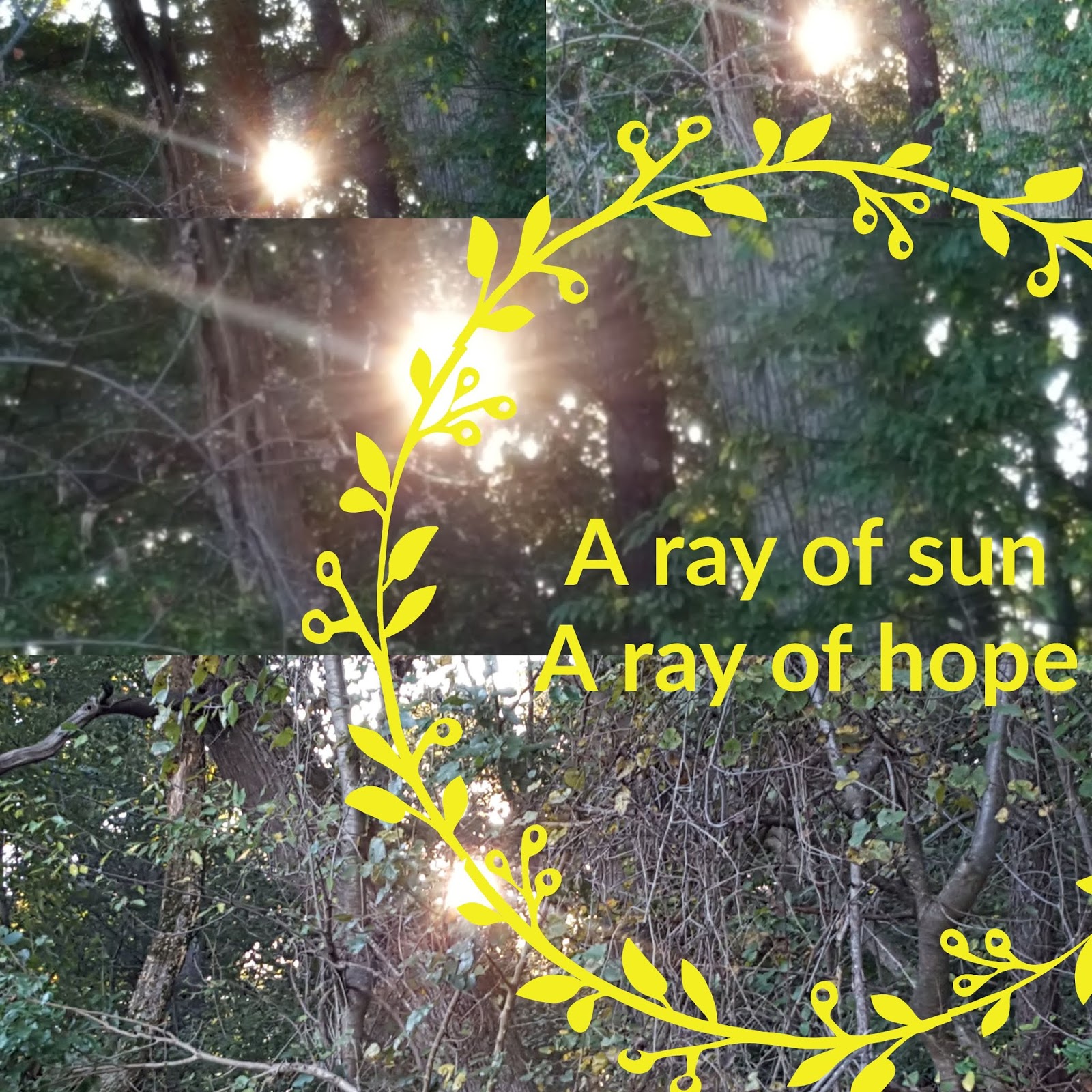 Ray of hope