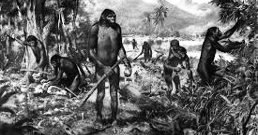 √ 3 jenis Pithecanthropus | Sejarah and World Maps