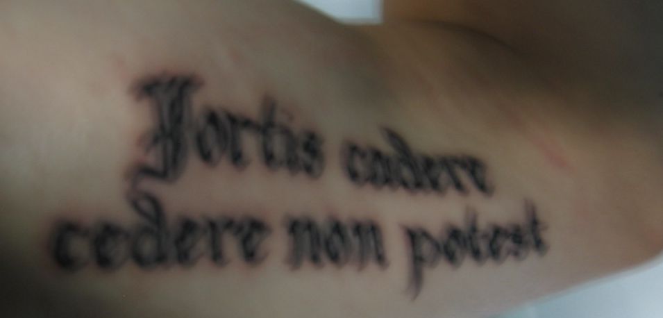 "Tu quoque, Enzo, fili mi?": O Bravo (The brave man)