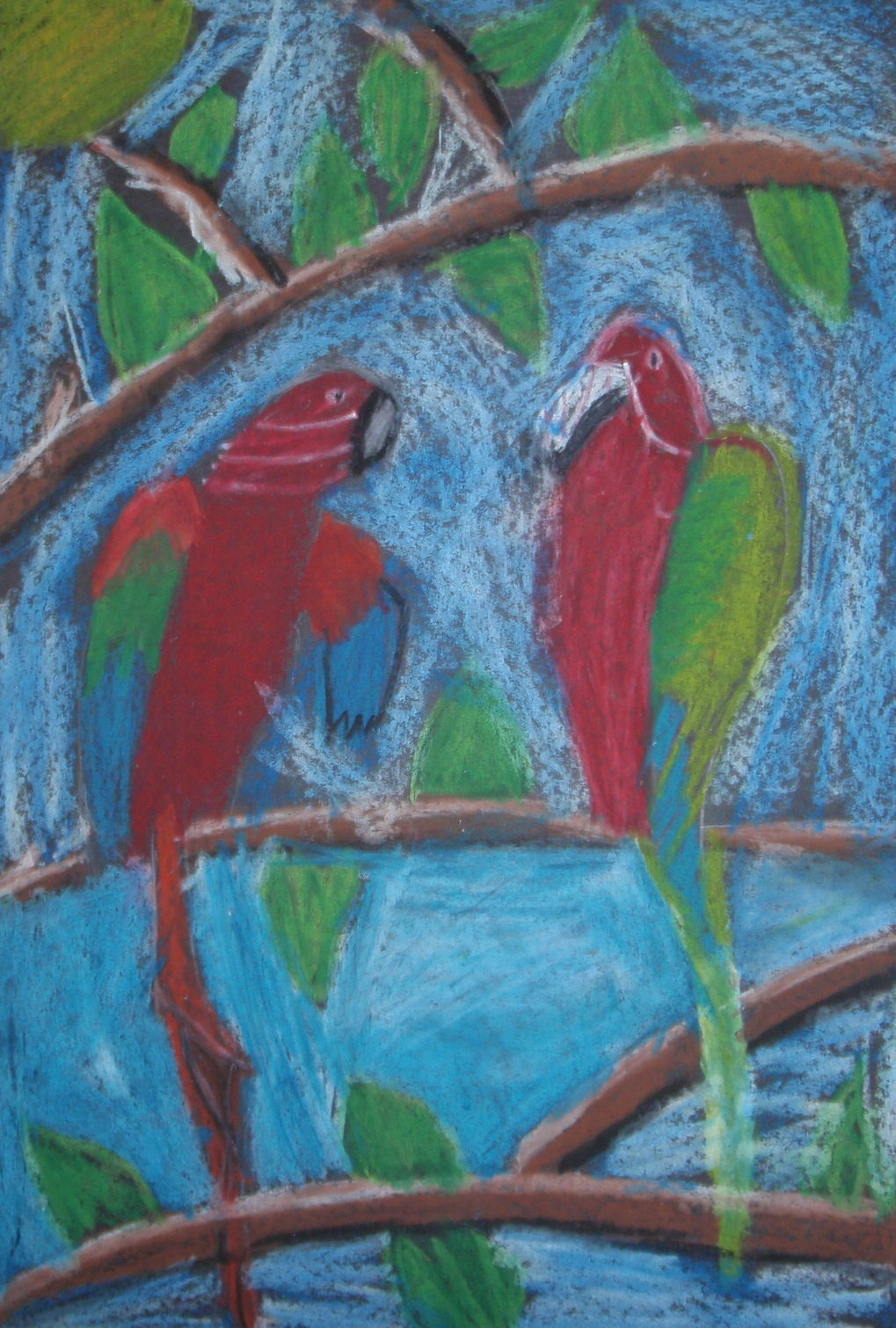 Chin Colle: Oil Pastel Birds