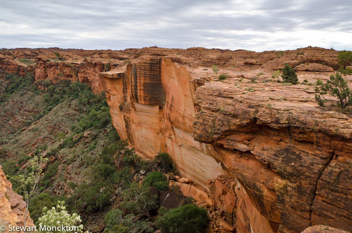 Paying Ready Attention - Photo Gallery: King Canyon: Part 2