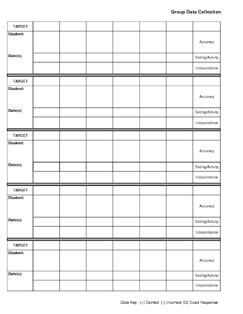 The Dynamic Duo: Our Collaborative Data Documentation Sheet