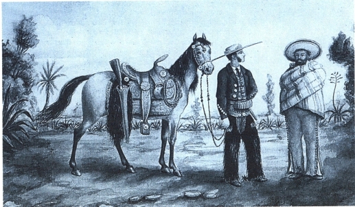 México a través de la mirada de una cubana: Cuánto sabes de los Sarapes ...