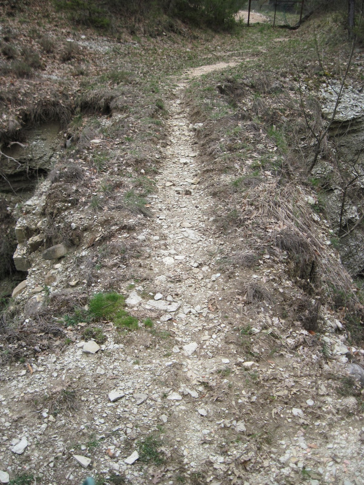 Peace of Tau: A Walk in Mount Subasio Park - Part 1 of 3