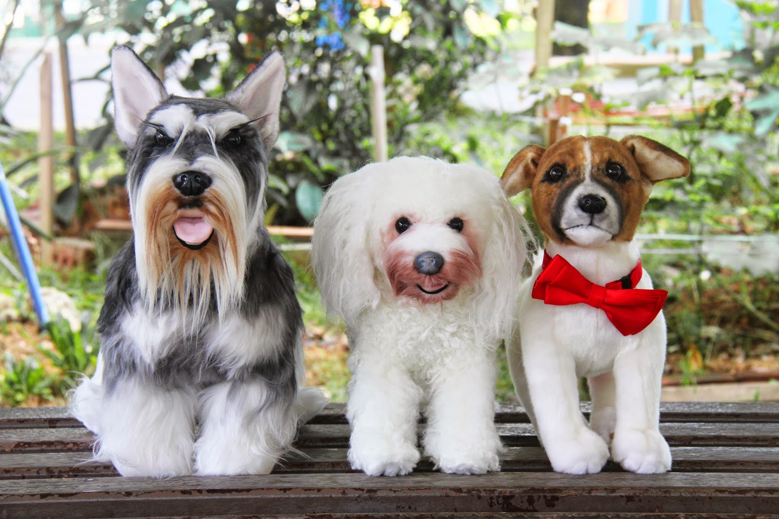 Natural PawPals: Cuddle Clones