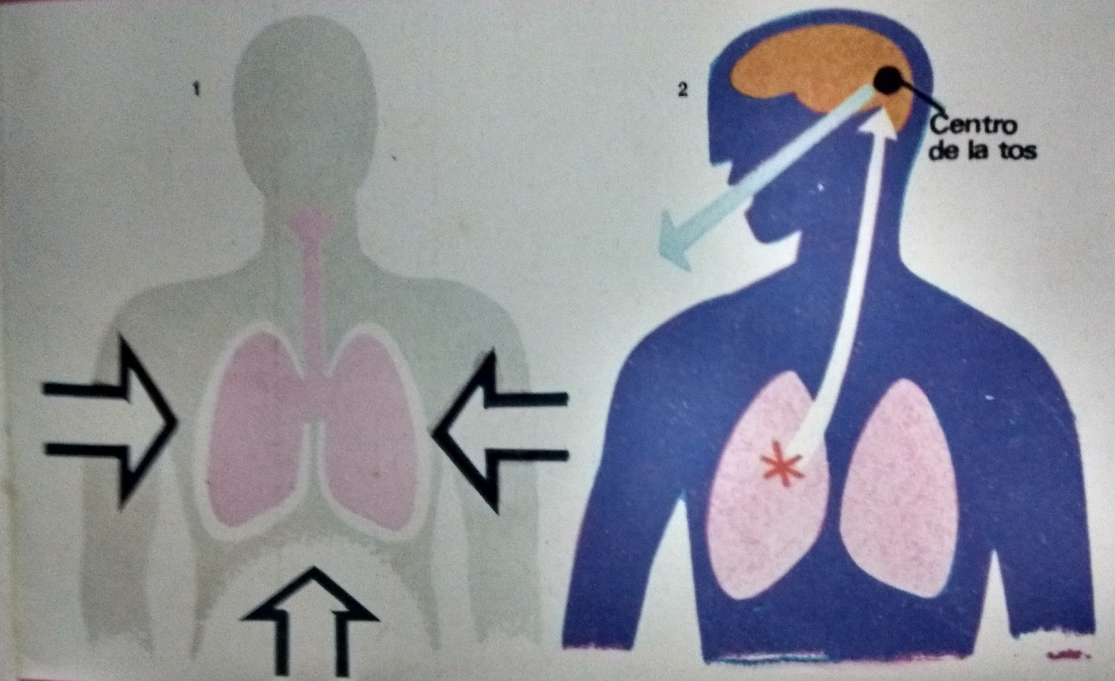 De la vida misma : ¿Qué es la tos?