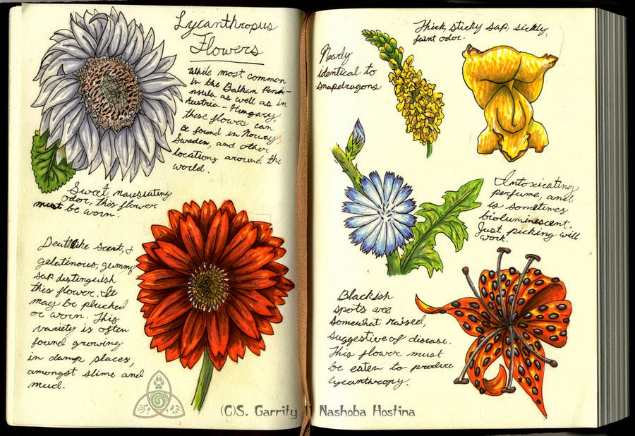 RETRO KIMMER'S BLOG: 25 WAYS TO BECOME A WEREWOLF!