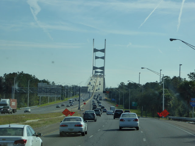 Road Runner: Melbourne Beach, Florida