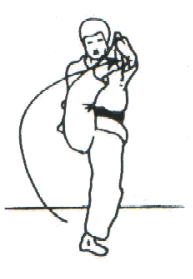 BUDO TOLEDO: GERI WAZA: TÉCNICAS DE PIERNA