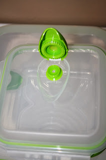 Trying To Go Green: Ozeri INSTAVAC Green Earth Food Storage Container Set