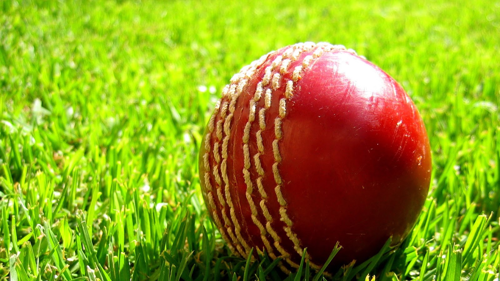 Cricket icse notes - CLUB ICSE