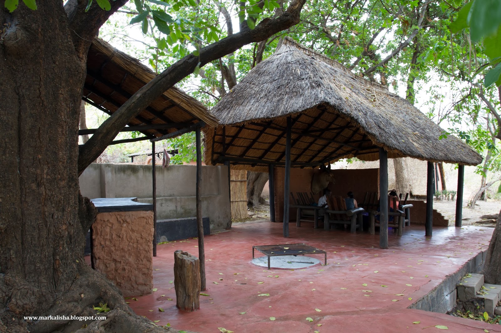 The '800 Challenge' - Southern Africa