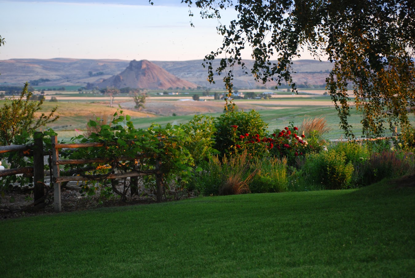 Our Mission in Concepcion, Chile