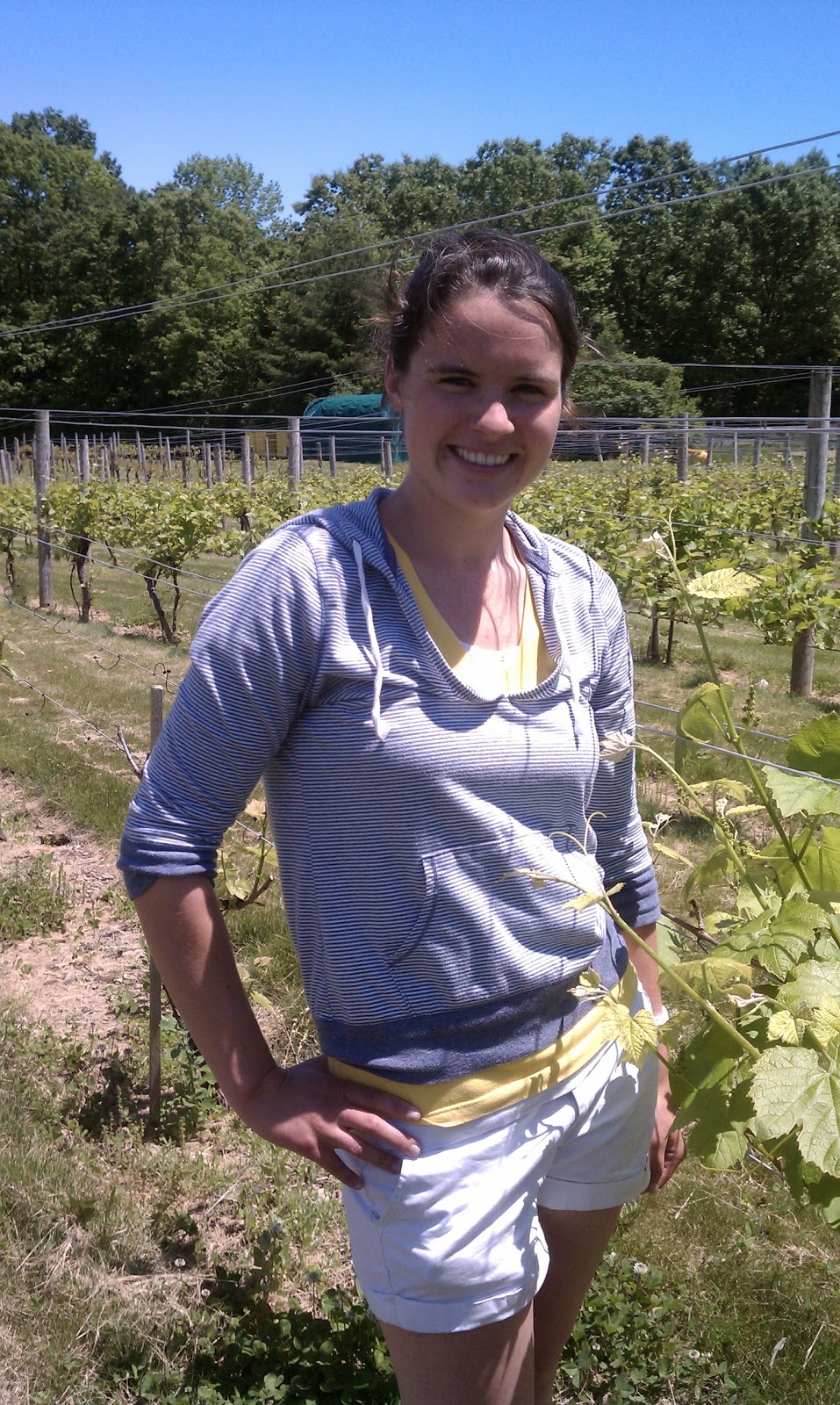 Jewell Towne Vineyards