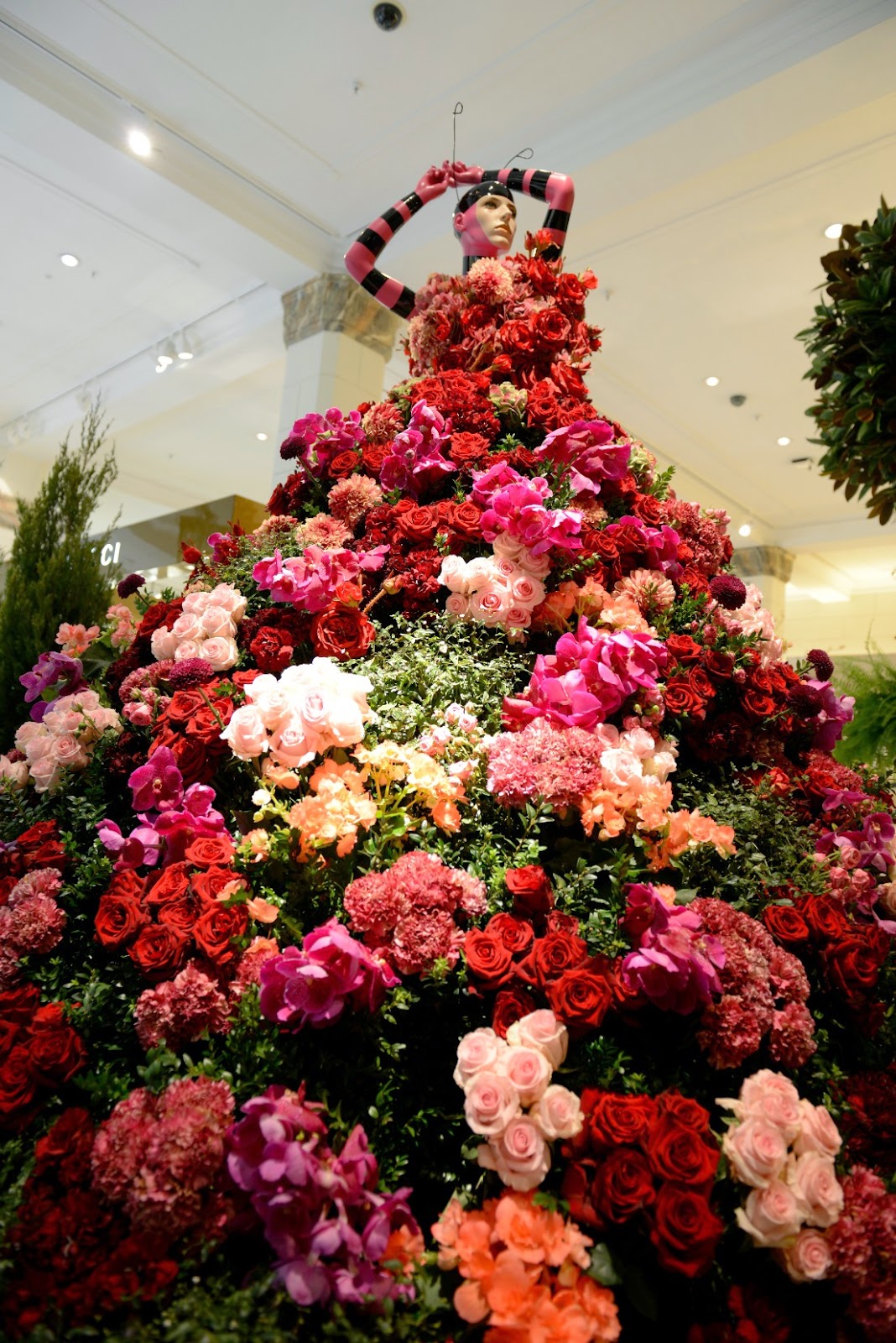 Urban Flower: David Jones Flower Show 2014 in the Sydney CBD