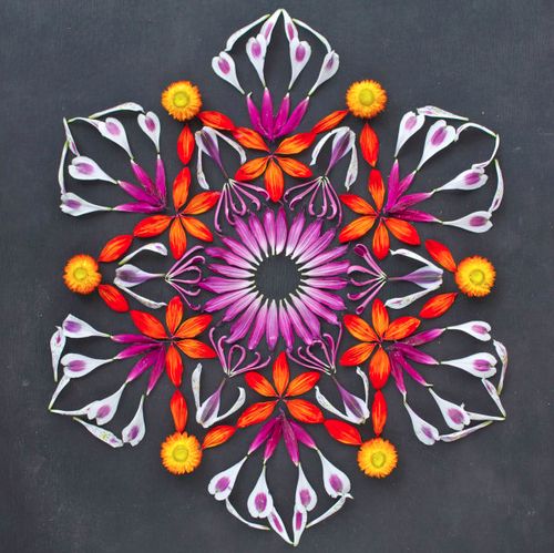 Elemeno P: Kathy Klein