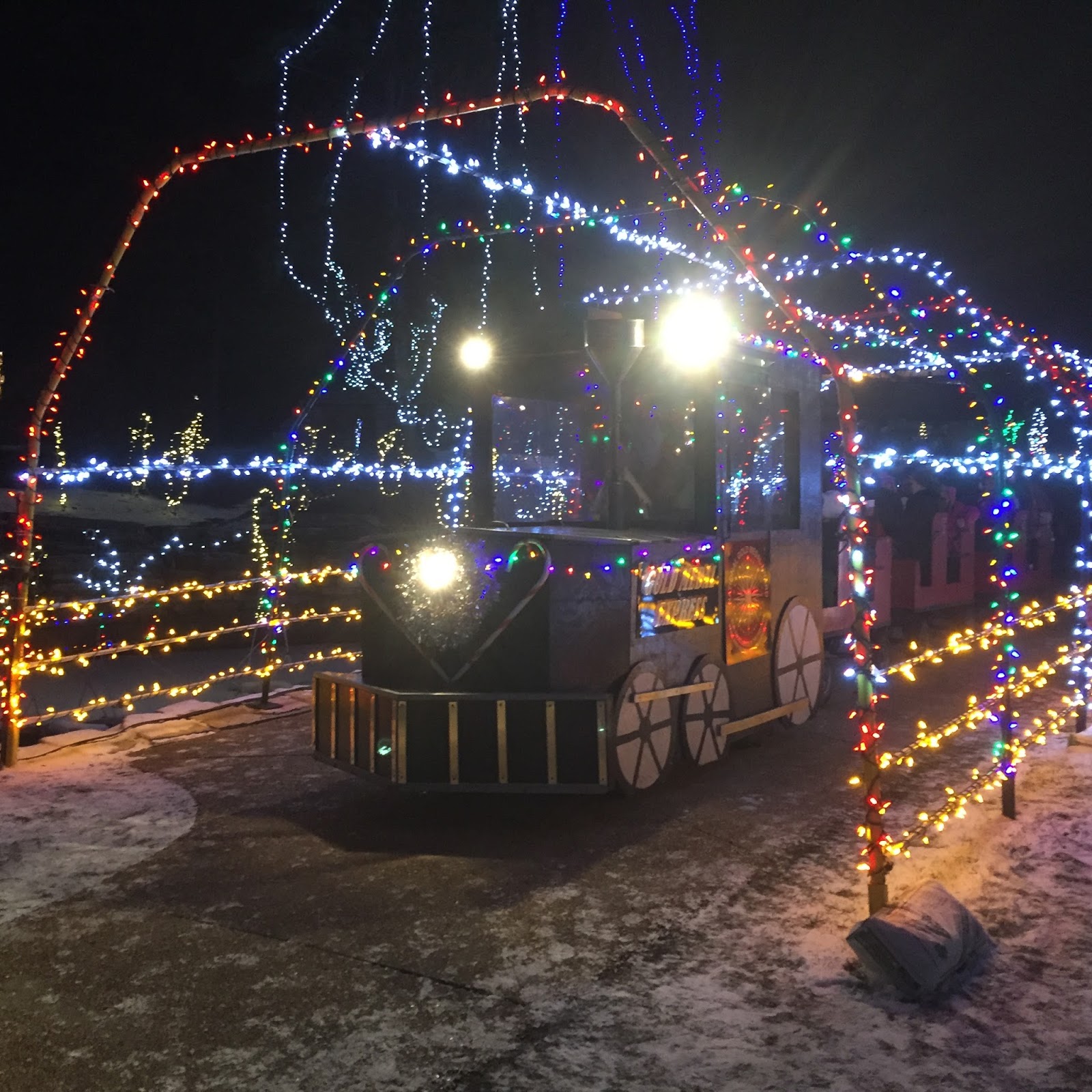 A Little Time and a Keyboard: Holiday Lights at Lilacia Park in Lombard ...