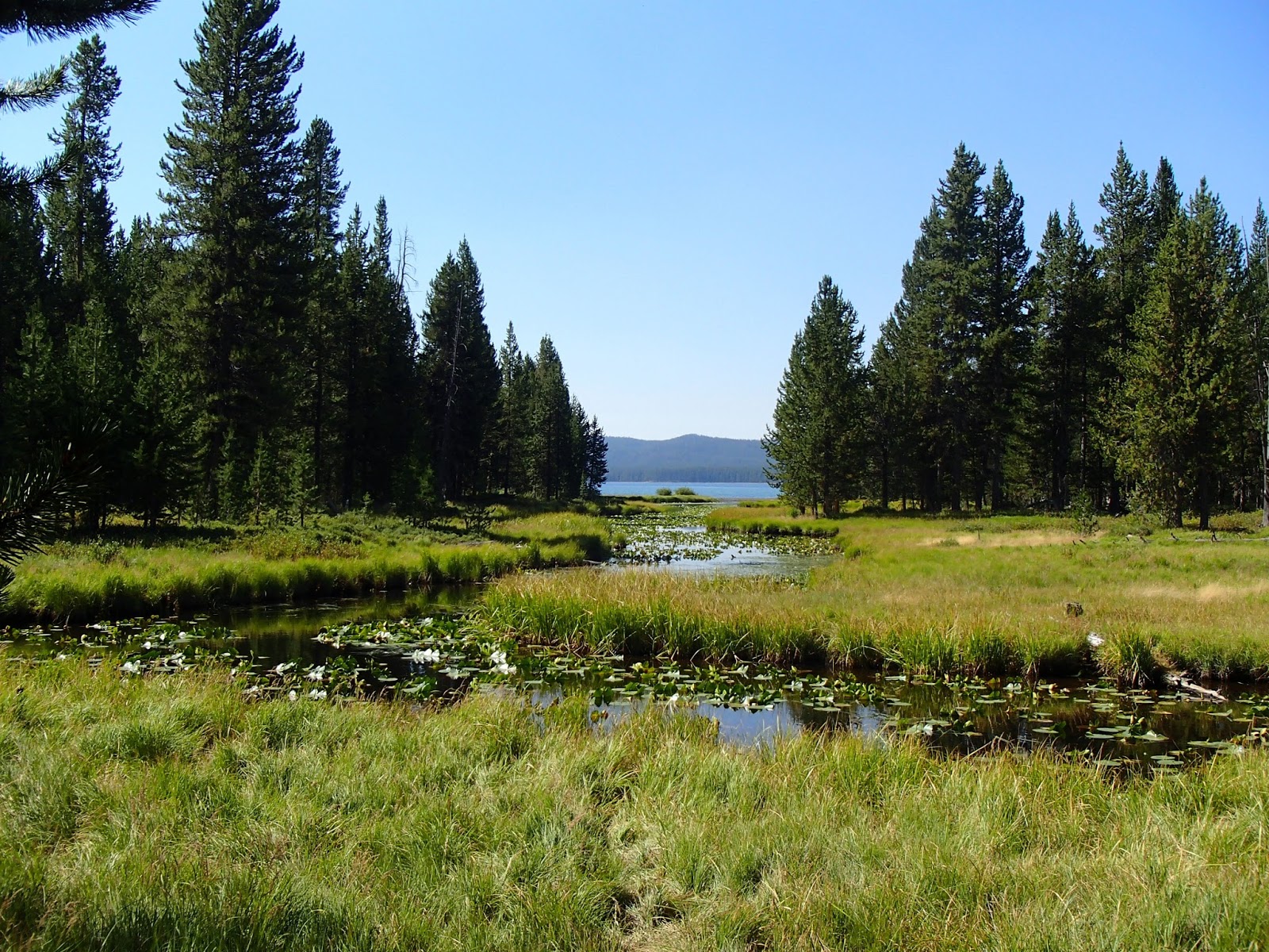 Crazy Hiker Chick: Shoshone Lake @ Yellowstone NP