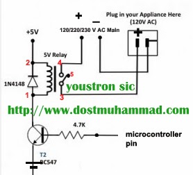 Common Pin Relay - lasopabrain