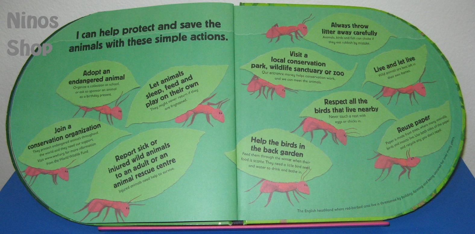 Book: Let's Save the Animals | NINOS SHOP