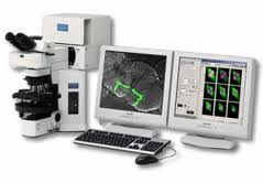 Microscopio: Microscopio confocal