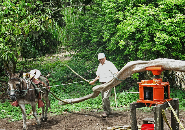 travelswithkathleen: October 2013