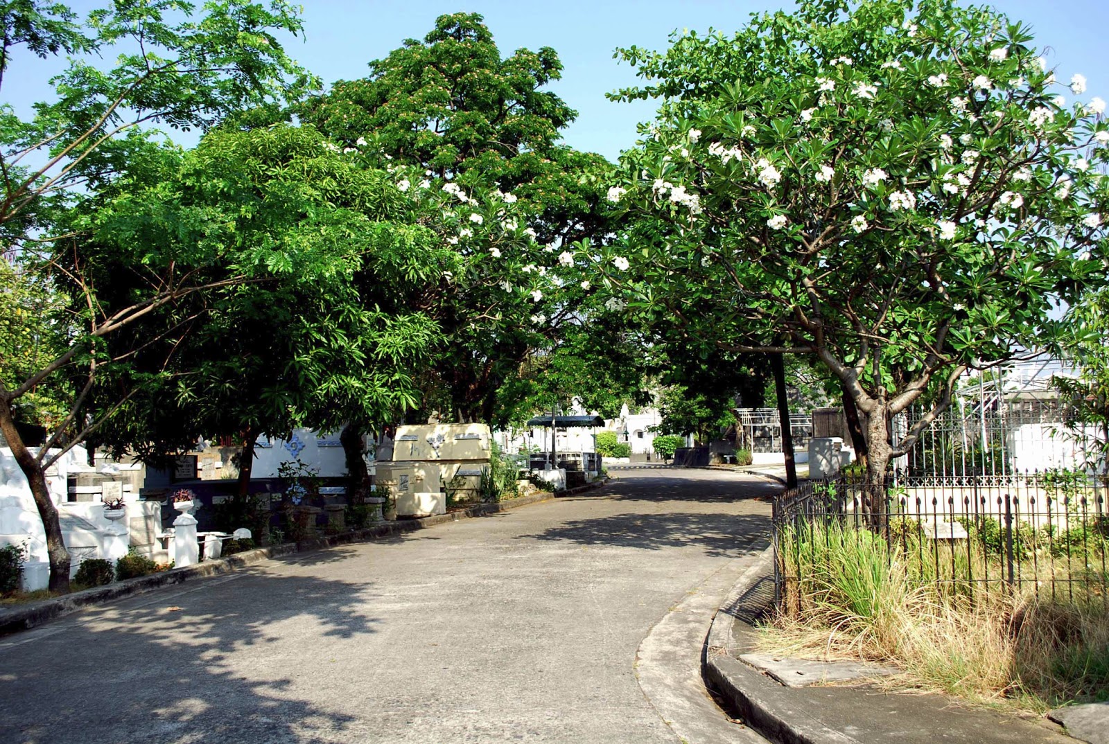 Kalachuchi Atbp: About Us