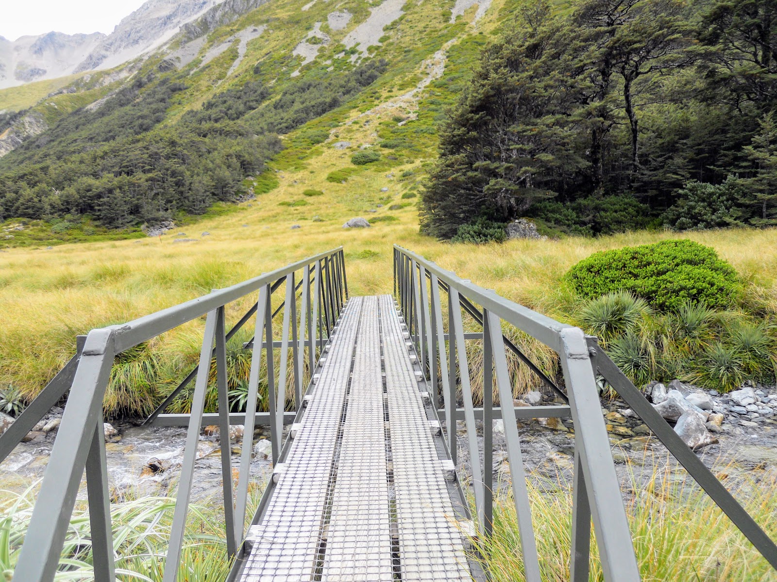 Tramping in the New Zealand backcountry: NZ Bush Adventures: You SHALL ...