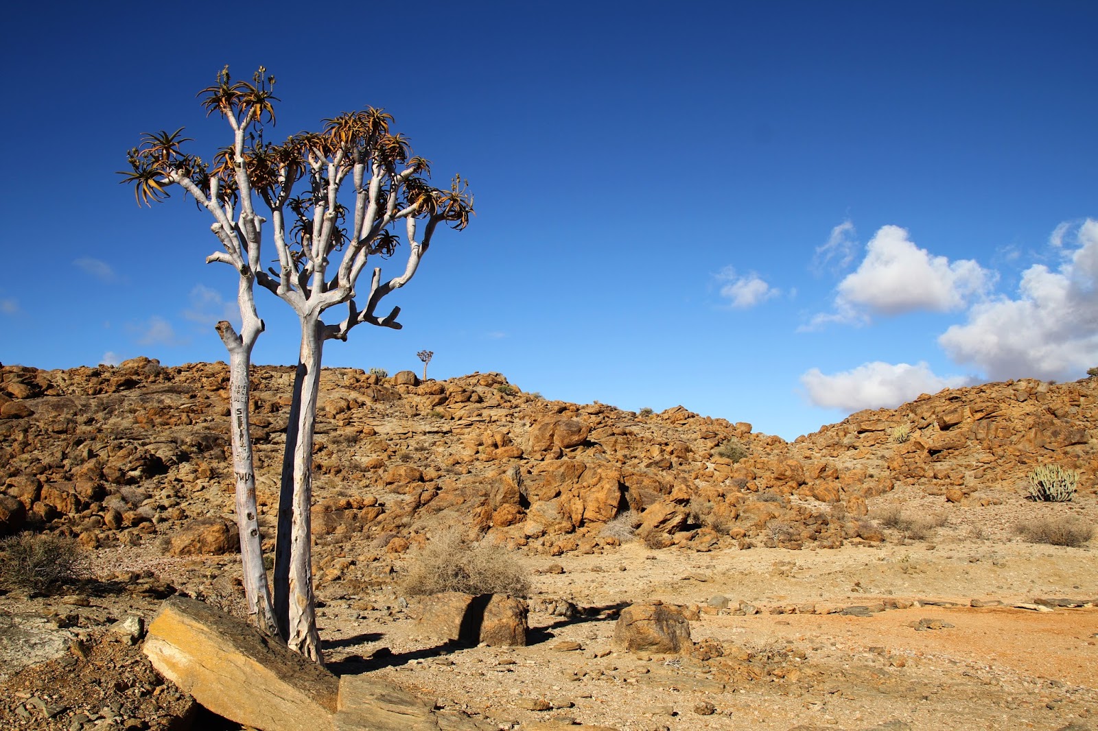VISITAR O DESERTO DA NAMÍBIA | Visitar um dos lugares mais incríveis do ...