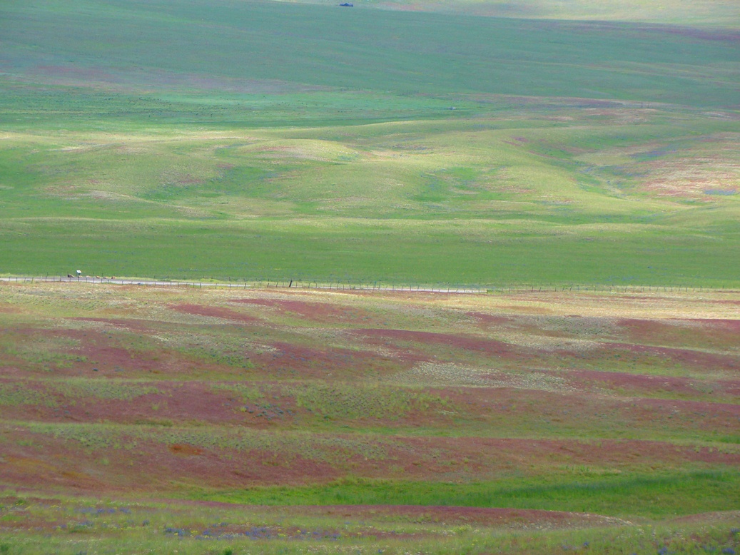 Geotripper: A Convergence of Wonders: Day 6, In the Land of the Great ...