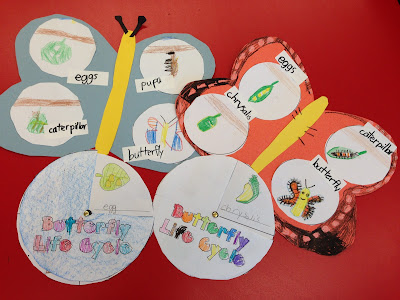 My First Grade Zoo: May 2016