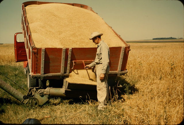18 Color Snapshot Capture Camping and Farming Living of North Dakota in ...