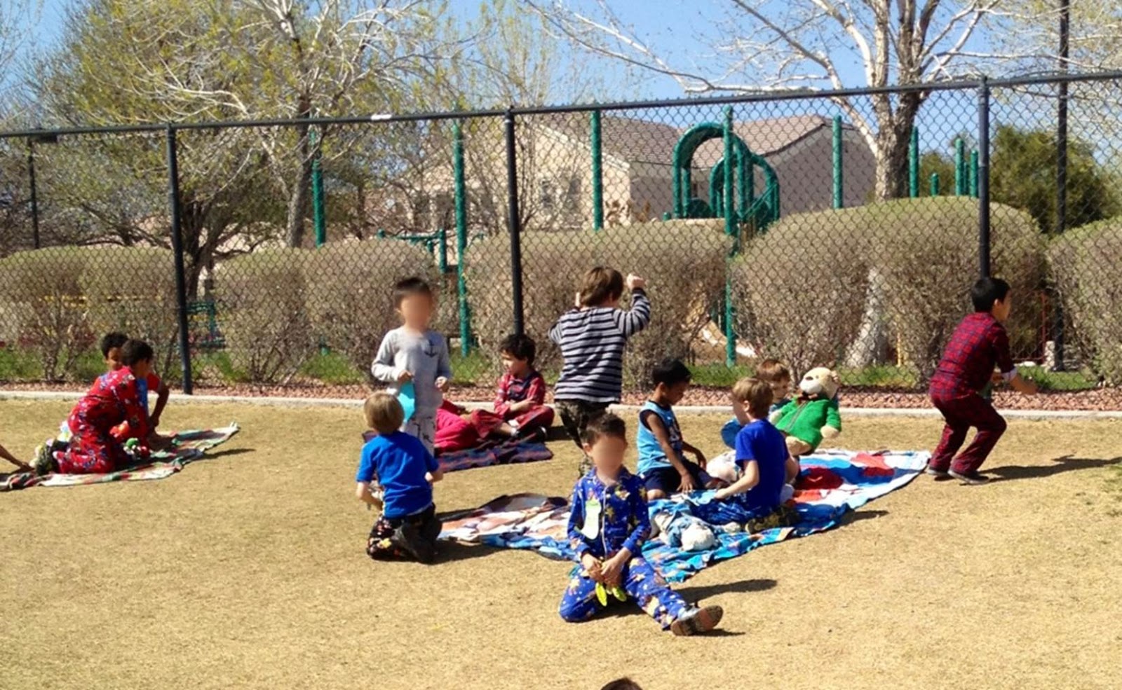 Author Celebration & The End of Reading Week - Susan Jones Teaching