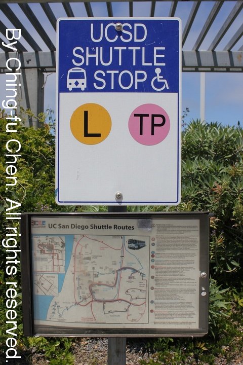 UCSD 台灣研究生學會: UCSD Shuttle
