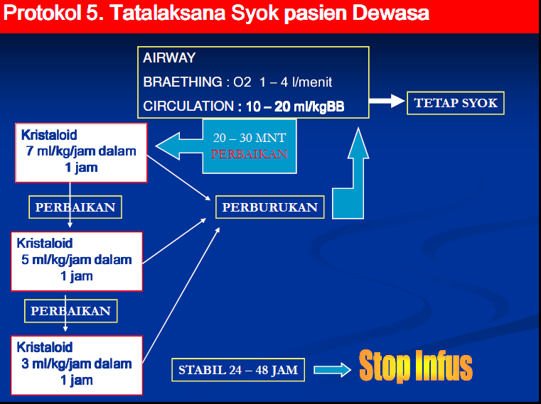 LuNaR: Demam Berdarah Dengue (Dengue Heat Fever) Pada Dewasa