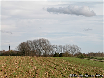 Landelijk Aaigem: Wandeling naar Ressegembos