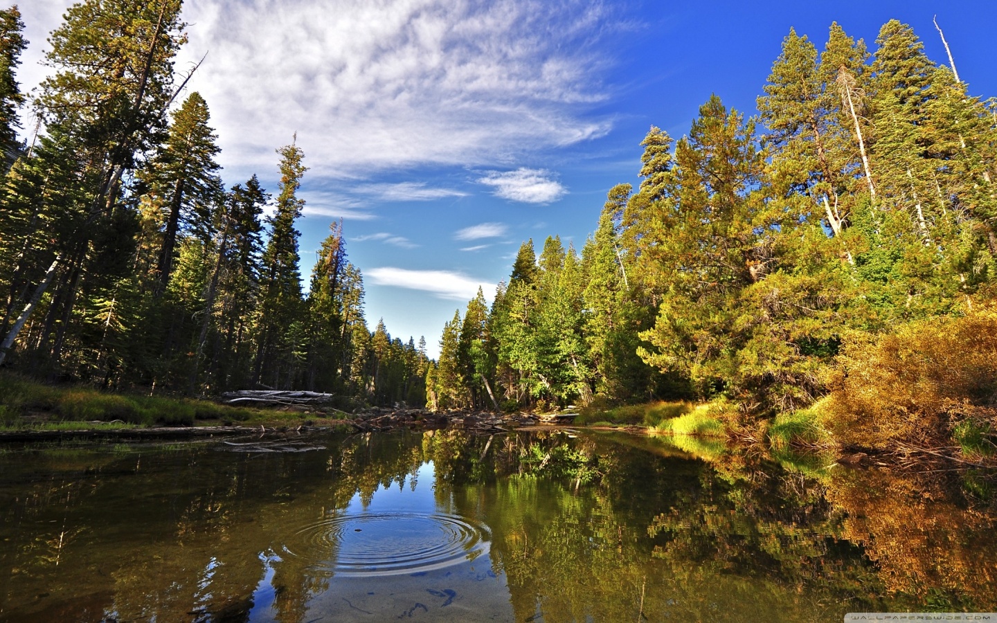 50 Most Exotic River HD Wallpaper (Part 3) | Unique Wallpaper