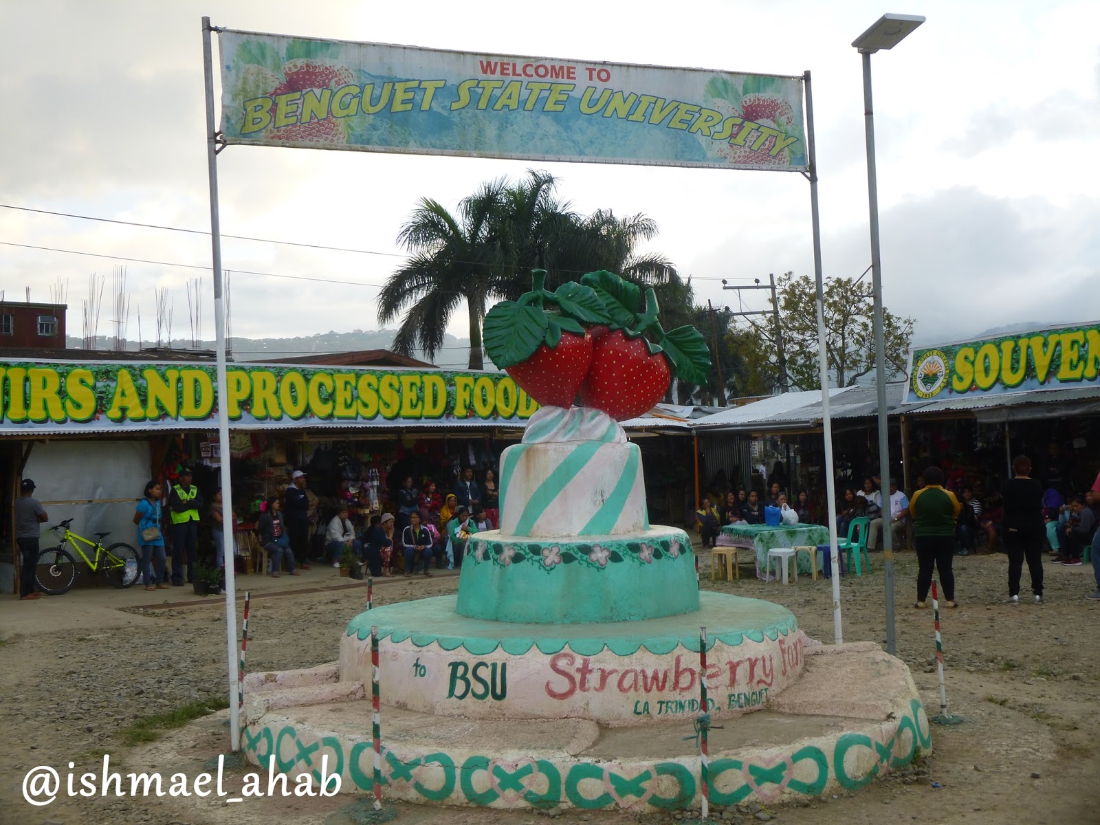 Let's Go to Baguio (Part 5): Picking Strawberries in La Trinidad ...