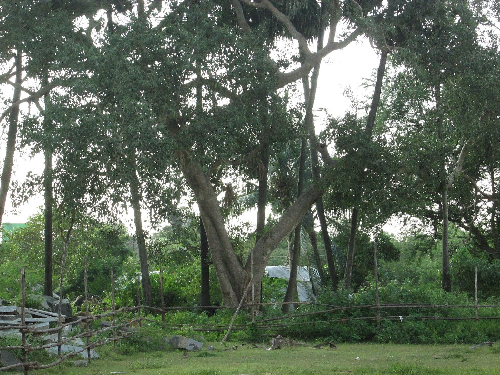 All about Hindu Temples